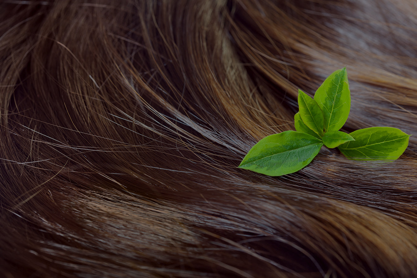 Hair Treatments – Naturally Vain